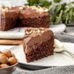 Chocolate Nutella Cake - One Layer - Entirely Elizabeth