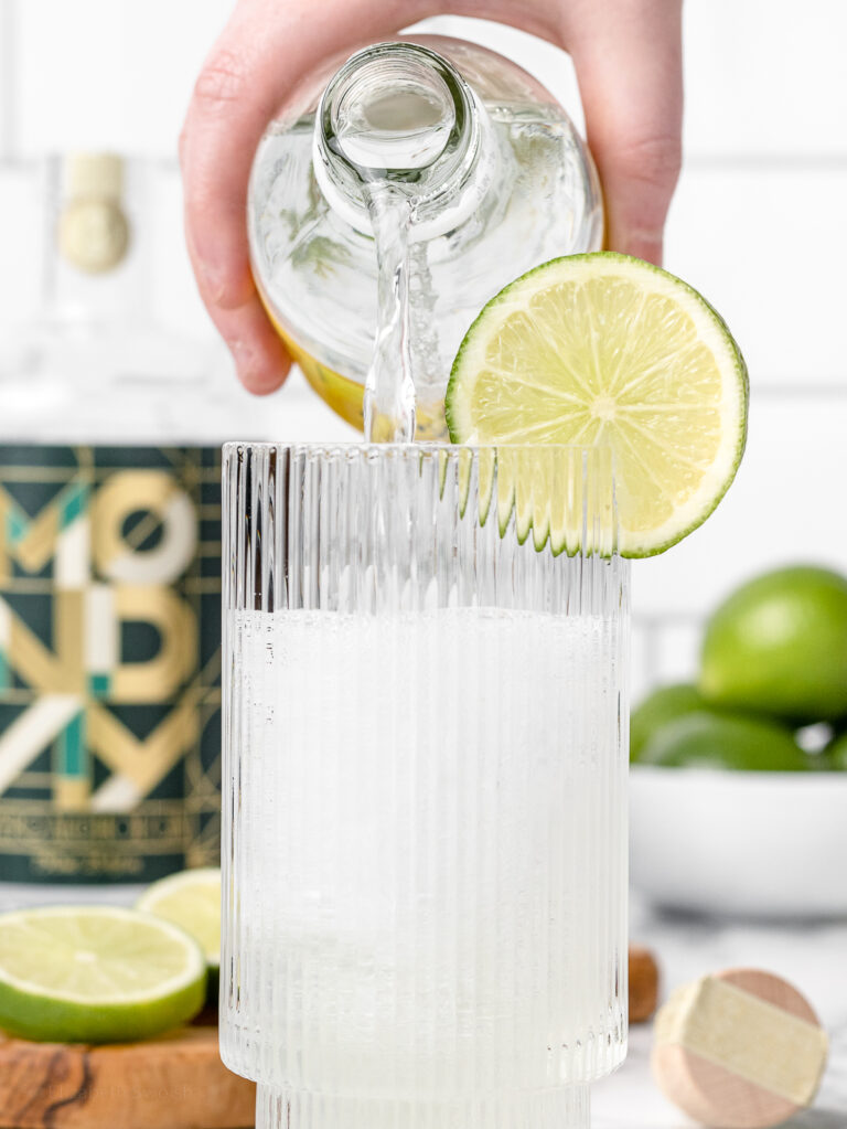 Bold Gin and Tonic Mocktail Recipe - Entirely Elizabeth