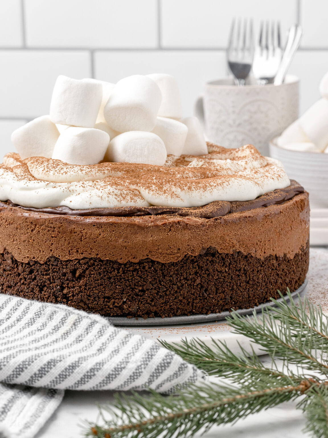 Baked Hot Cocoa Cheesecake - Entirely Elizabeth