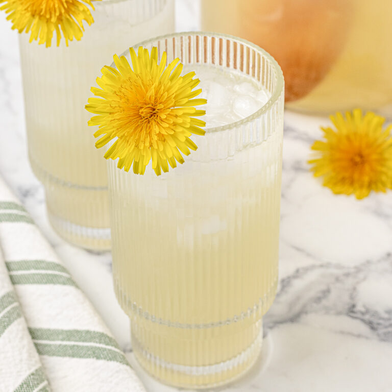 Non Alcoholic (NA) Drinks - Entirely Elizabeth